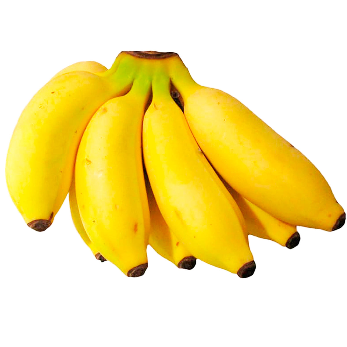 Guineo Manzano X 500G (Peso Aprox.) — Amarket